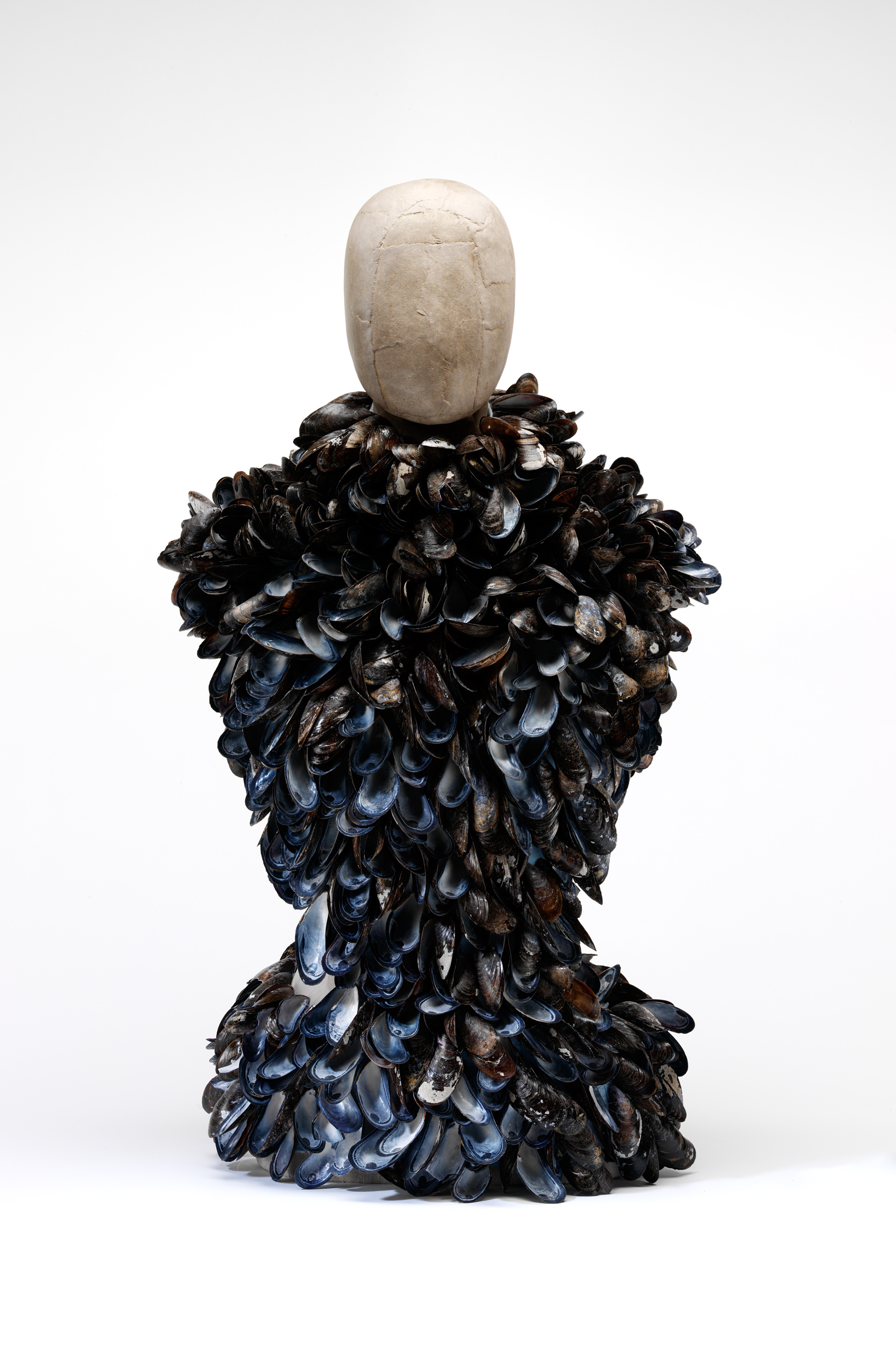 Seashells - Minnie Muse