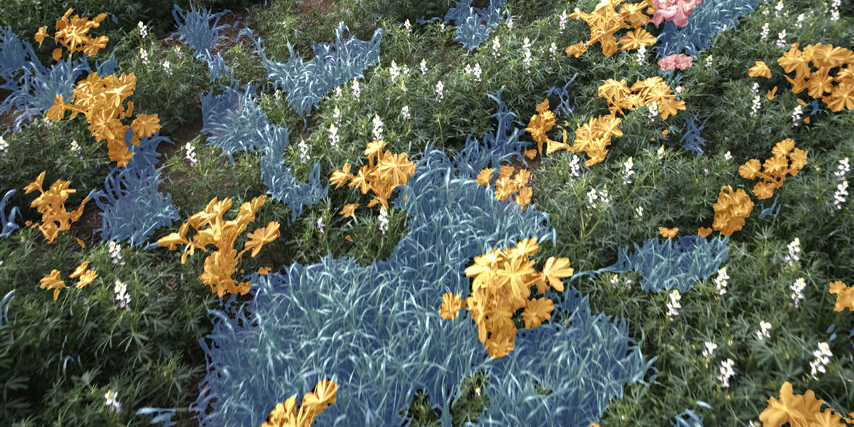 The Future of Crop Protection: AI and Plant-Level Spraying | Agriculture