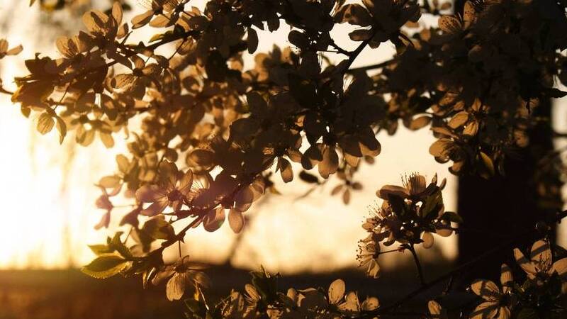 Tele2 Wifi Hub C4 bredbandsrouter | Tele2 Företag