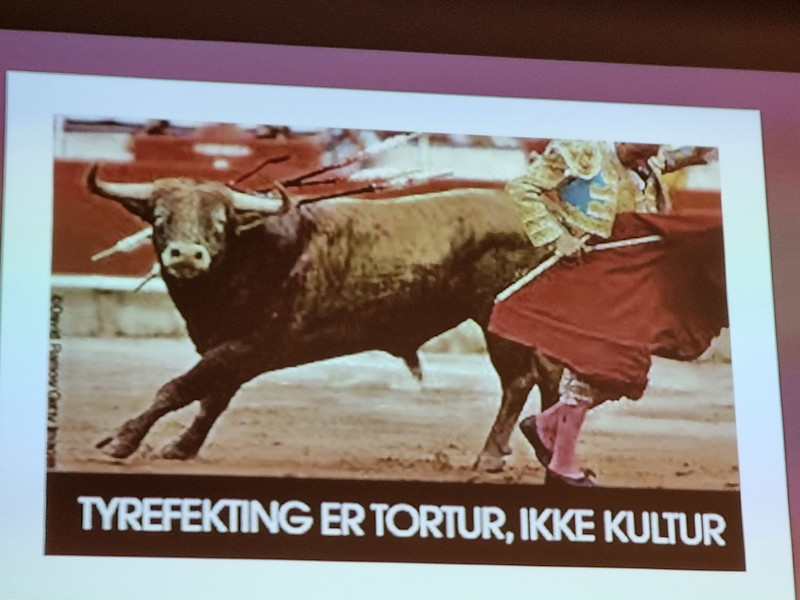 Spansk aften | Pensjonistforbundet