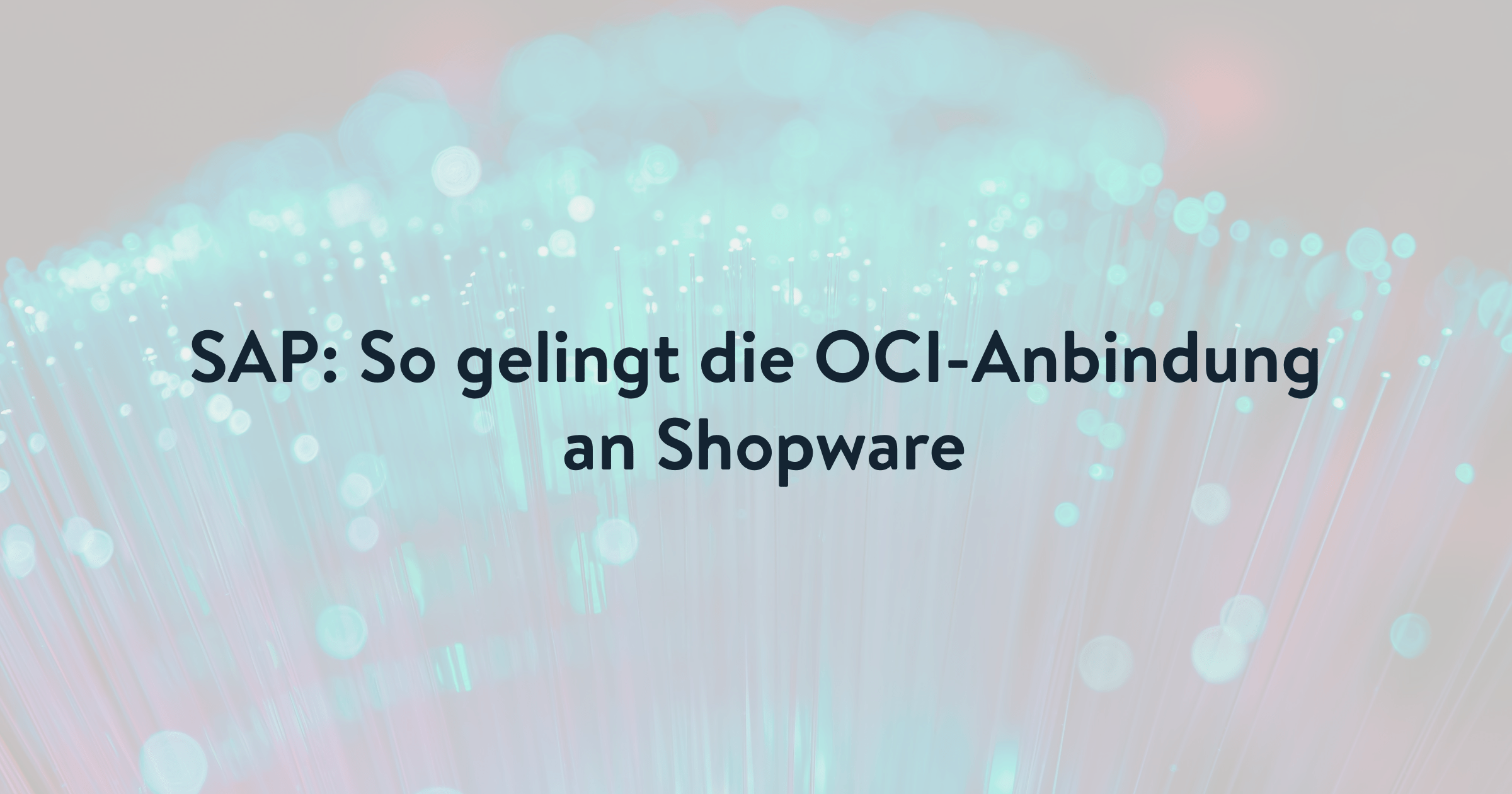 So gelingt die OCI-Anbindung an Shopware | Shopware