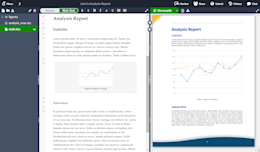 Latex Project Report Template