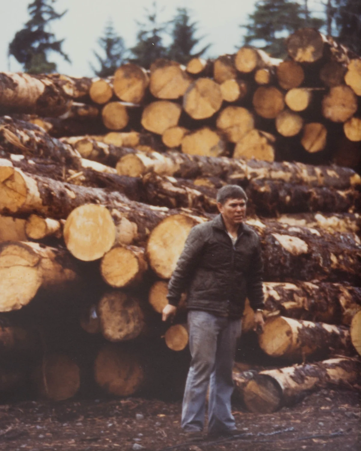 Designed with Care: Mukurtu Provides Ethical Tools for Archiving and ...