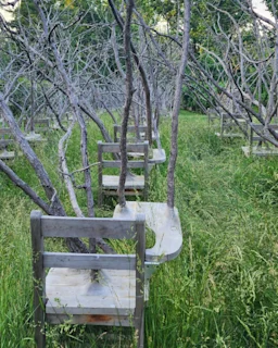 What’s in a Place? More than Geography | Mellon Foundation