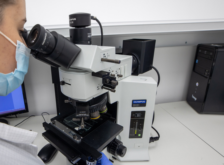 Lab Grown Diamonds: Learn What is Lab Created Diamond & How to Buy Them ...