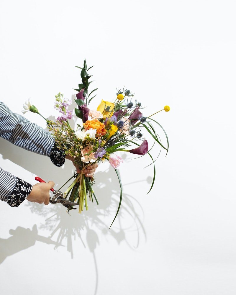 Interview with Lana Elie, founder of Floom | Kimaï