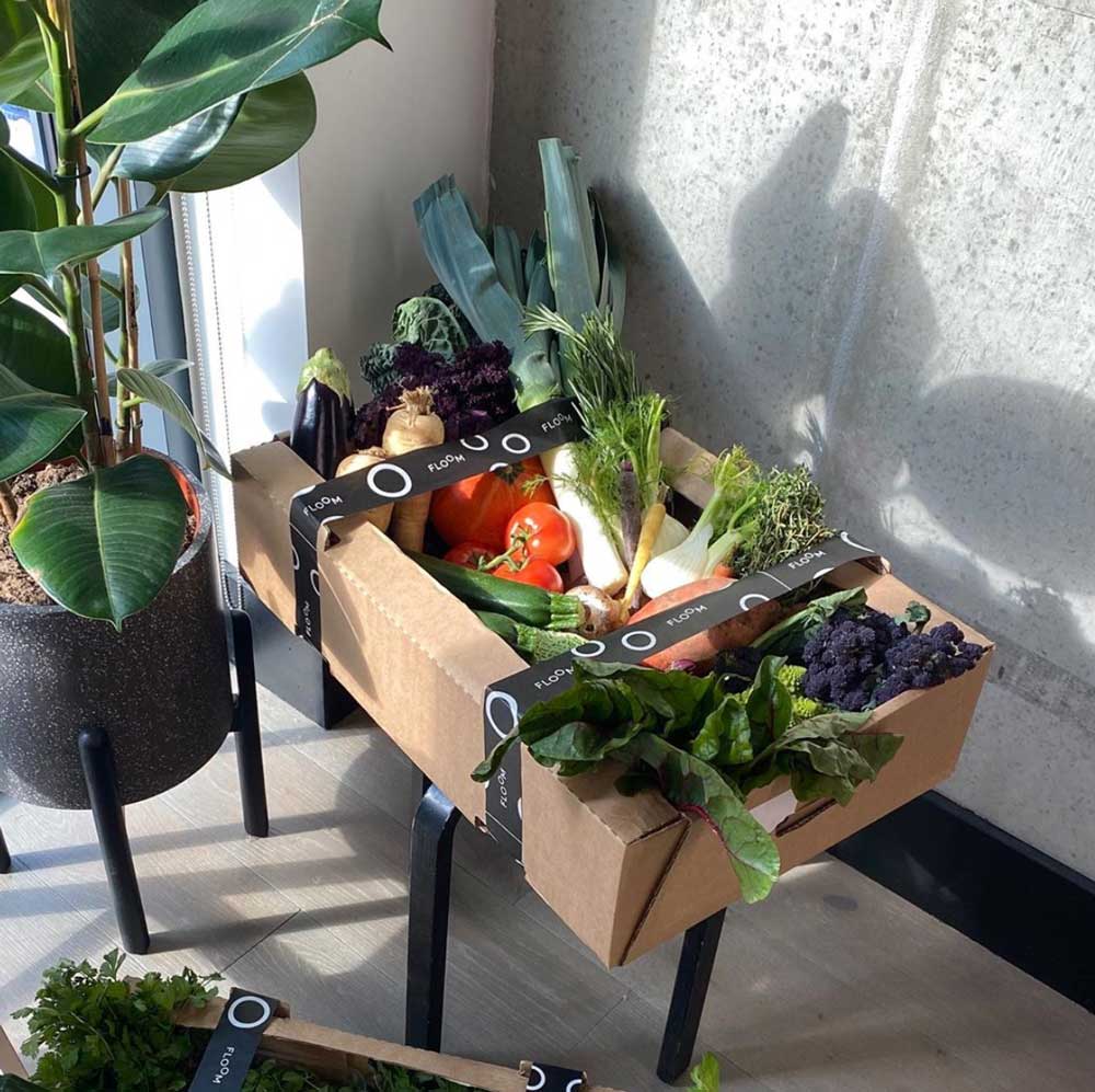 Interview with Lana Elie, founder of Floom | Kimaï