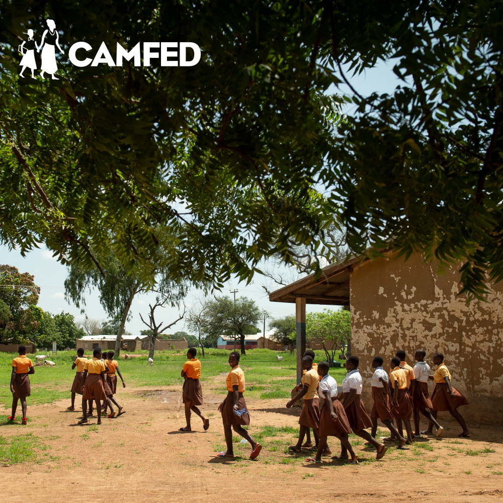 Our Women's Day Partnership with CAMFED | Kimaï