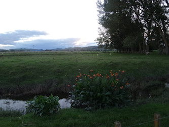 Te Kohanga Reo o Taihoa | Littlies