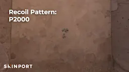 USP-S vs P2000 - Which one is better in CS2? - Skinport Blog