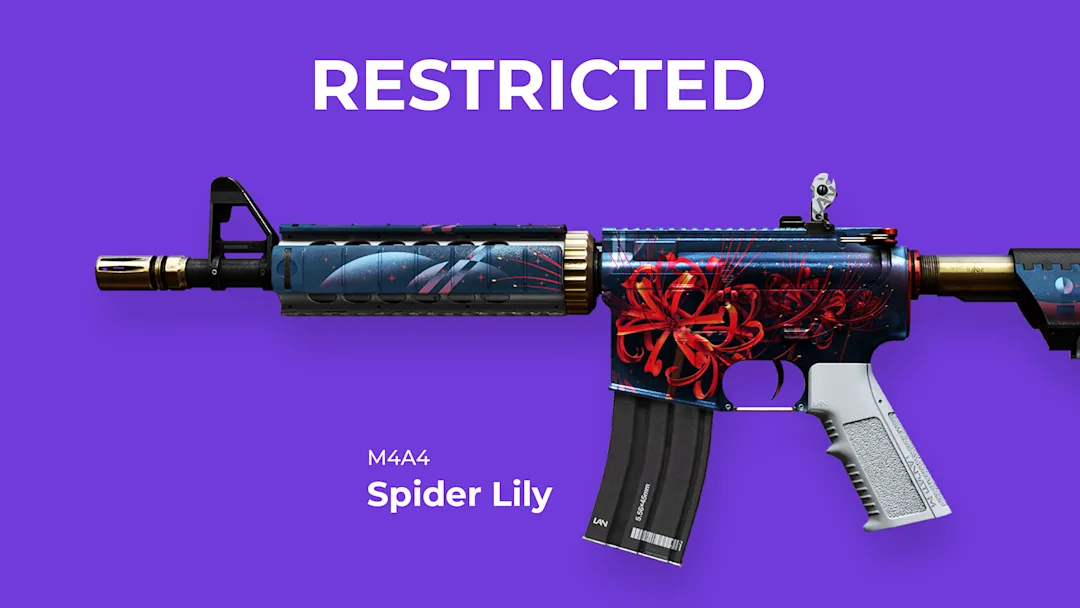 Rarity and Exclusivity of CS2 Skins explained - Skinport Blog