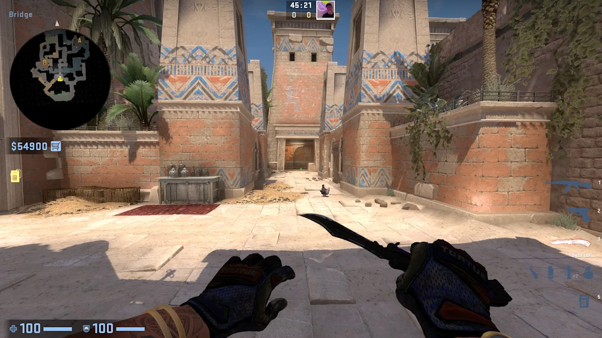 Map Callouts: Anubis - Skinport Blog