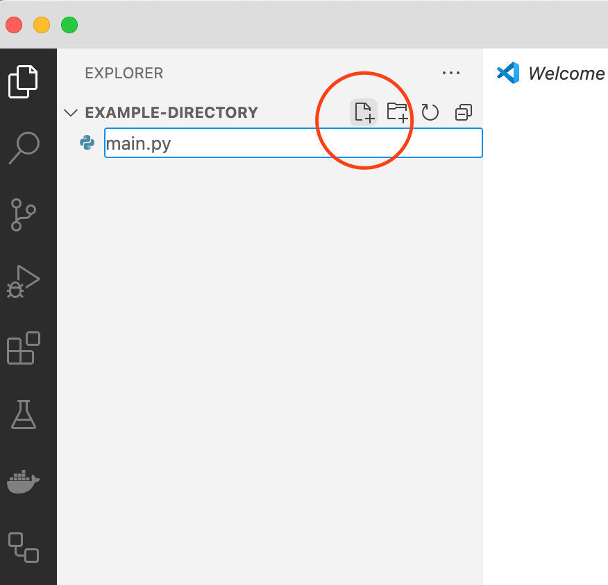 Read a CSV File in Python Pandas