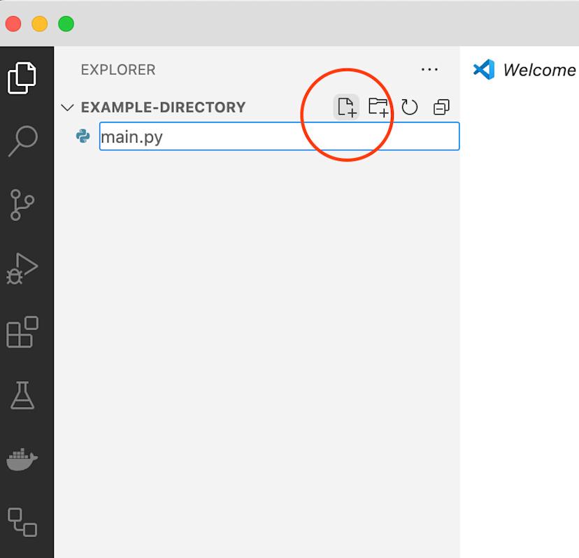Read a CSV File in Python Pandas