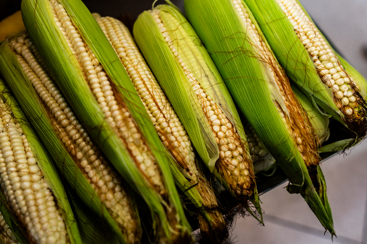 Corn Price Forecast: US Harvest Upgrades Prompt 2025 Corn Pr