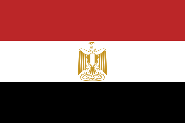 Egypt Signals Intention To Renegotiate IMF Programme