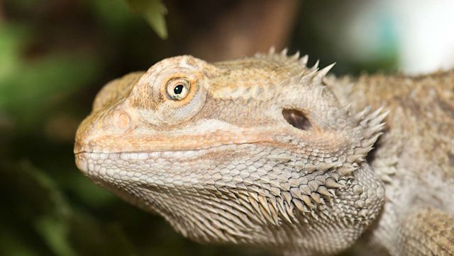 Experience Universeum in Gothenburg! | Strawberry