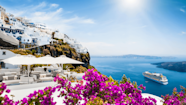 Earn Bonus Points On Cruises Strawberry