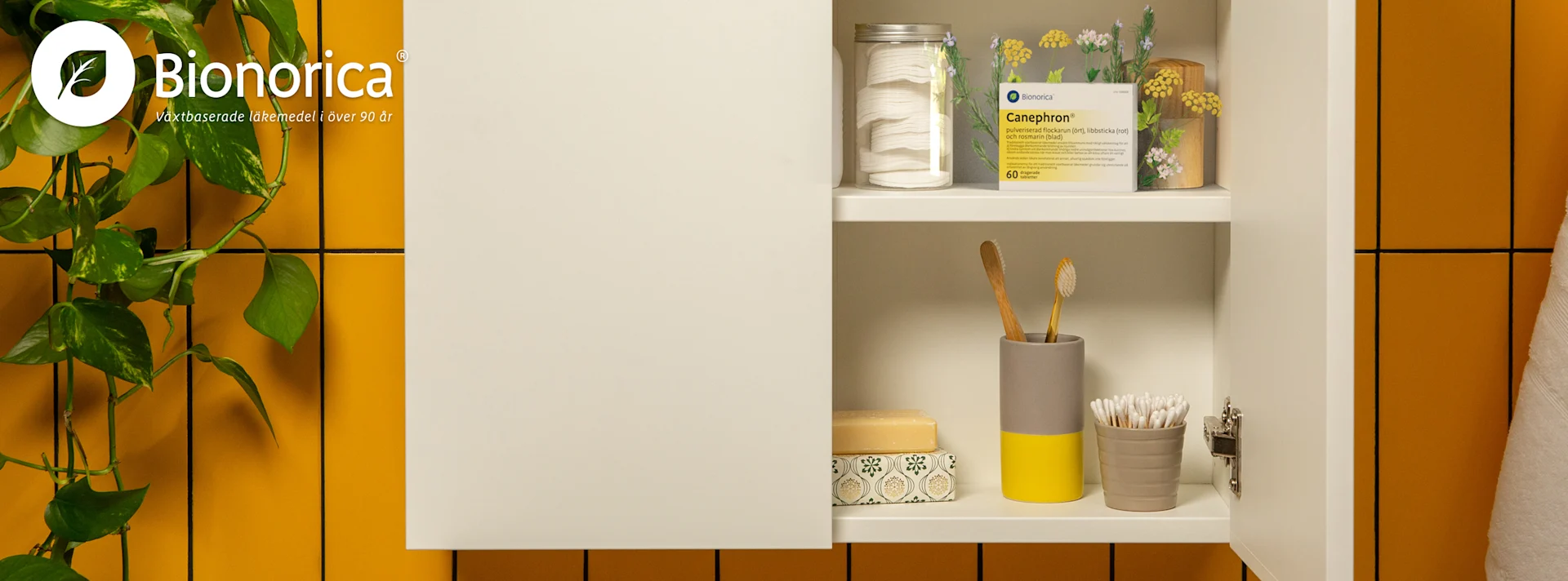 Canephron mot urinvägsinfektion