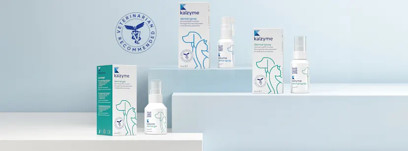 Kalzyme - Apotek Hjärtat