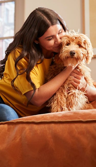 Dog Insurance Plans | Explore Pet Health Insurance for Dogs - Embrace ...