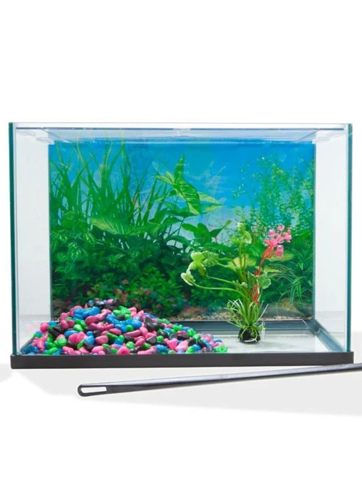 Shop Pets - Kmart