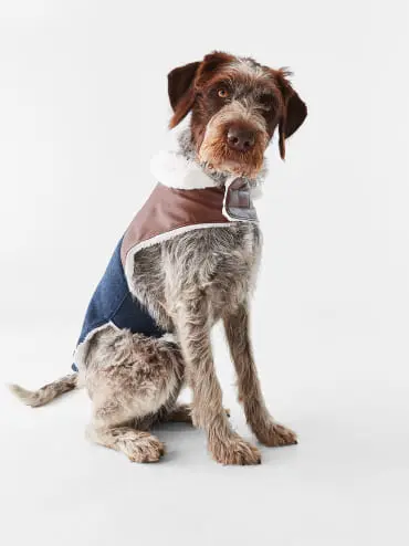 Shop Pets - Kmart NZ