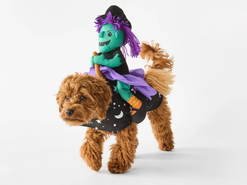 Home of Halloween – Kmart NZ