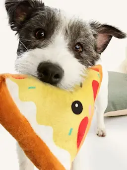 Shop Pets - Kmart NZ