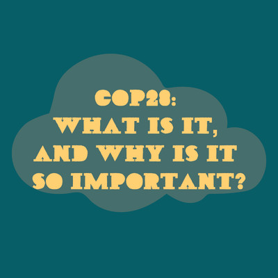 What is COP 28 and Why is it so Important? | HROC