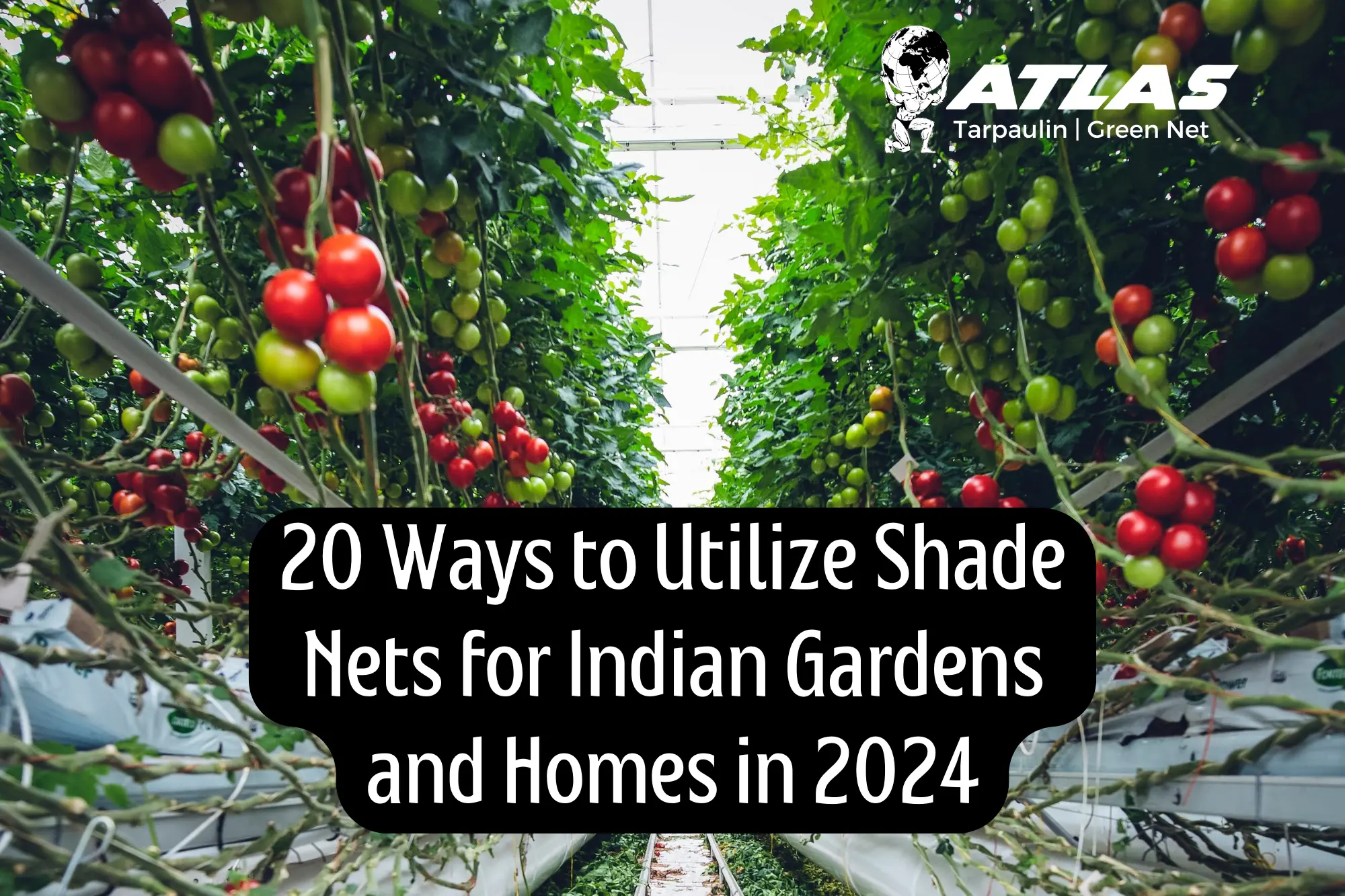 20 Applications of Black Shade Net in India: A Must-Read for Gardeners ...