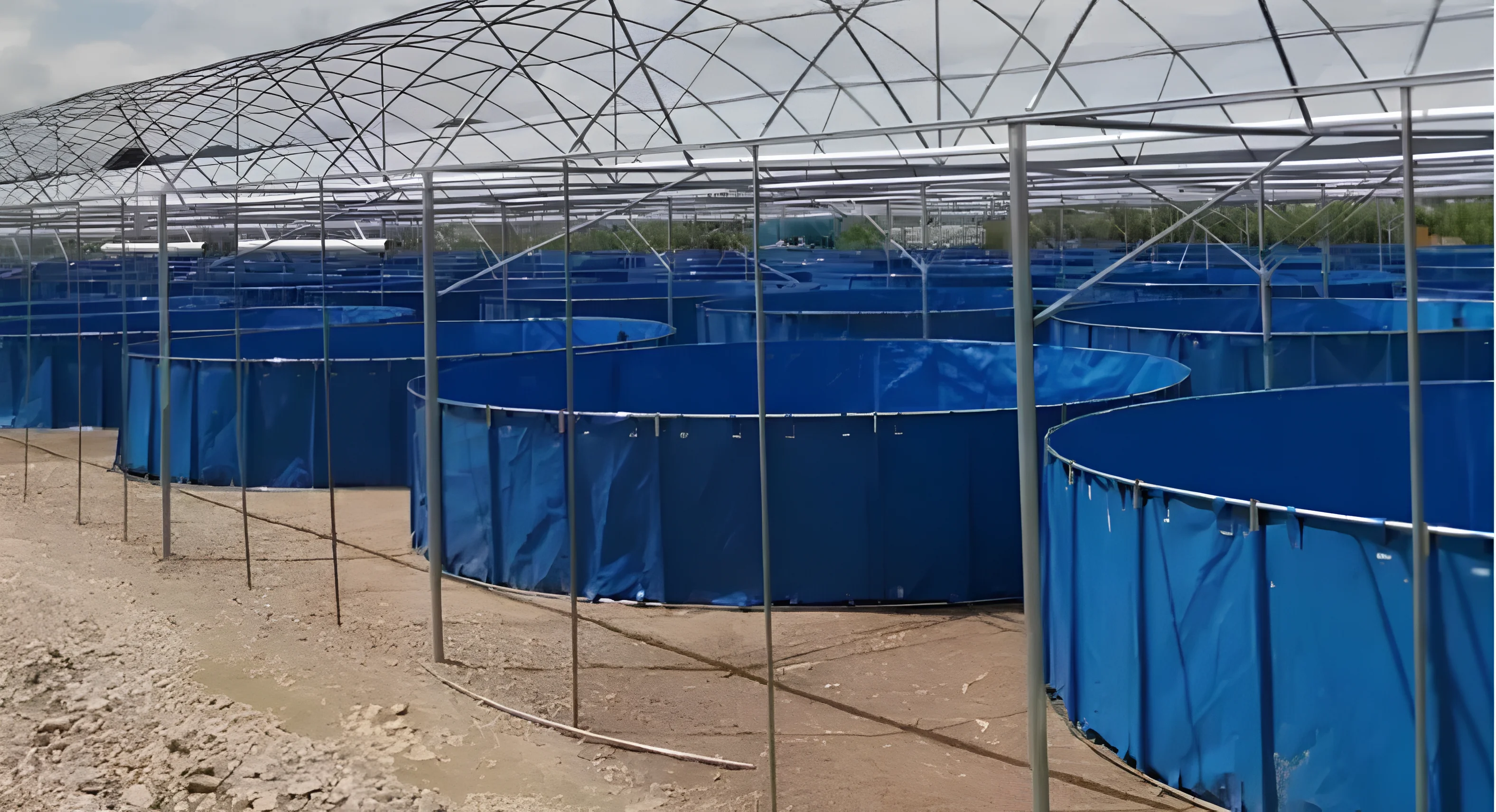 Tarpaulin Ponds for Fish Farming