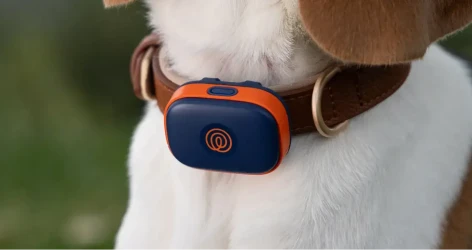 Tile Tracker | Bluetooth Trackers for Keys, Wallets, Phones, and More