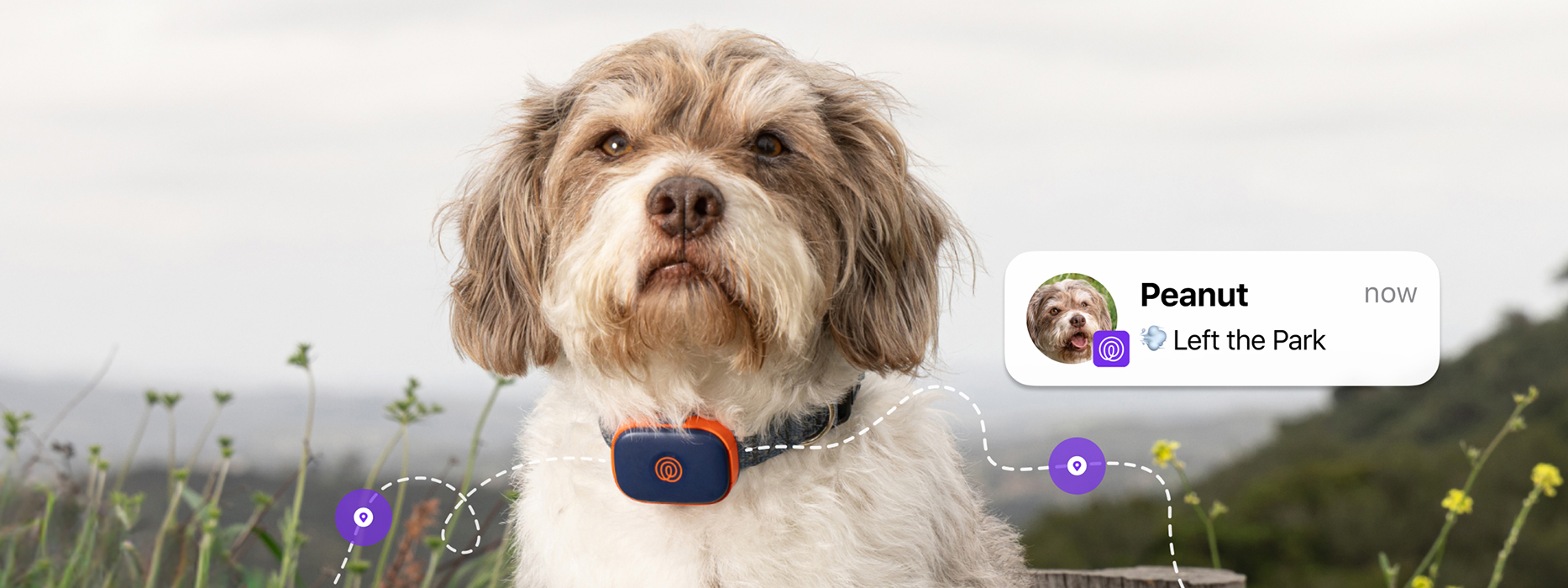 Life360 | Family Tracking App | Location Sharing & Family Safety