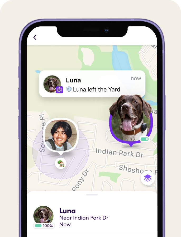 Escape Alerts