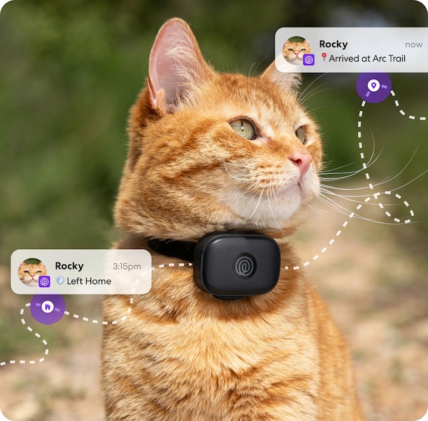 Pet Safety | Life360 Pet GPS Tracking for Dogs & Cats