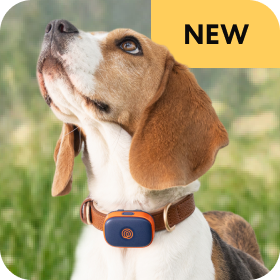 Life360 | Family Tracking App | Location Sharing & Family Safety