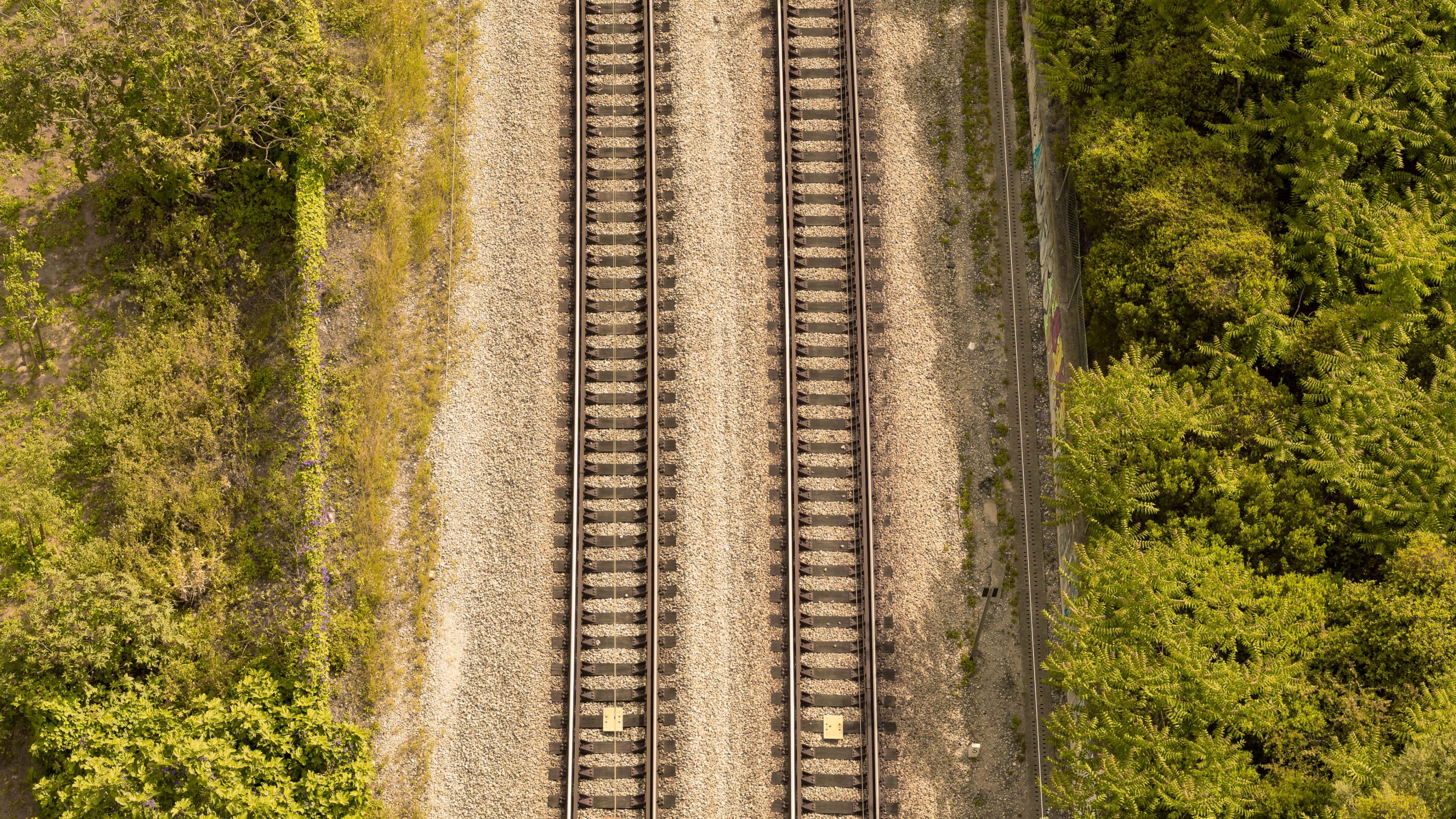 Satellite-powered vegetation management · UP42