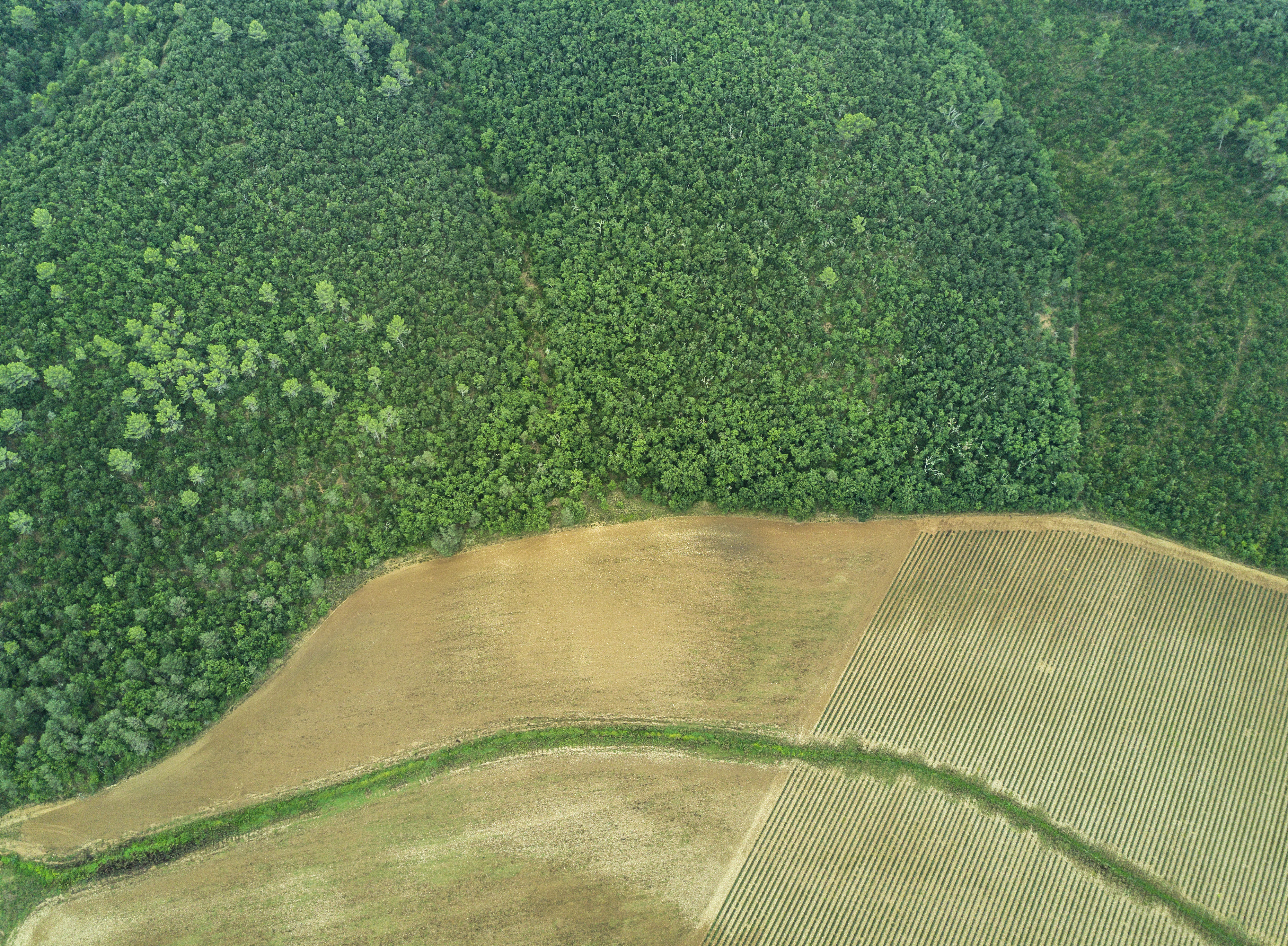 Change detection: How to use the UP42 platform to analyze landslides · UP42