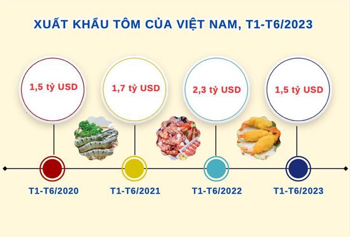 TOAN PHAT - Infographic: Xuất khẩu tôm Việt Nam 6 tháng đầu năm 2023