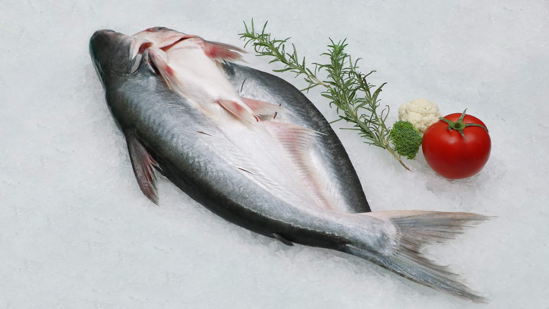 TOAN PHAT - Trung Quốc là thị trường tiêu thụ nhiều nhất cá tra nguyên ...