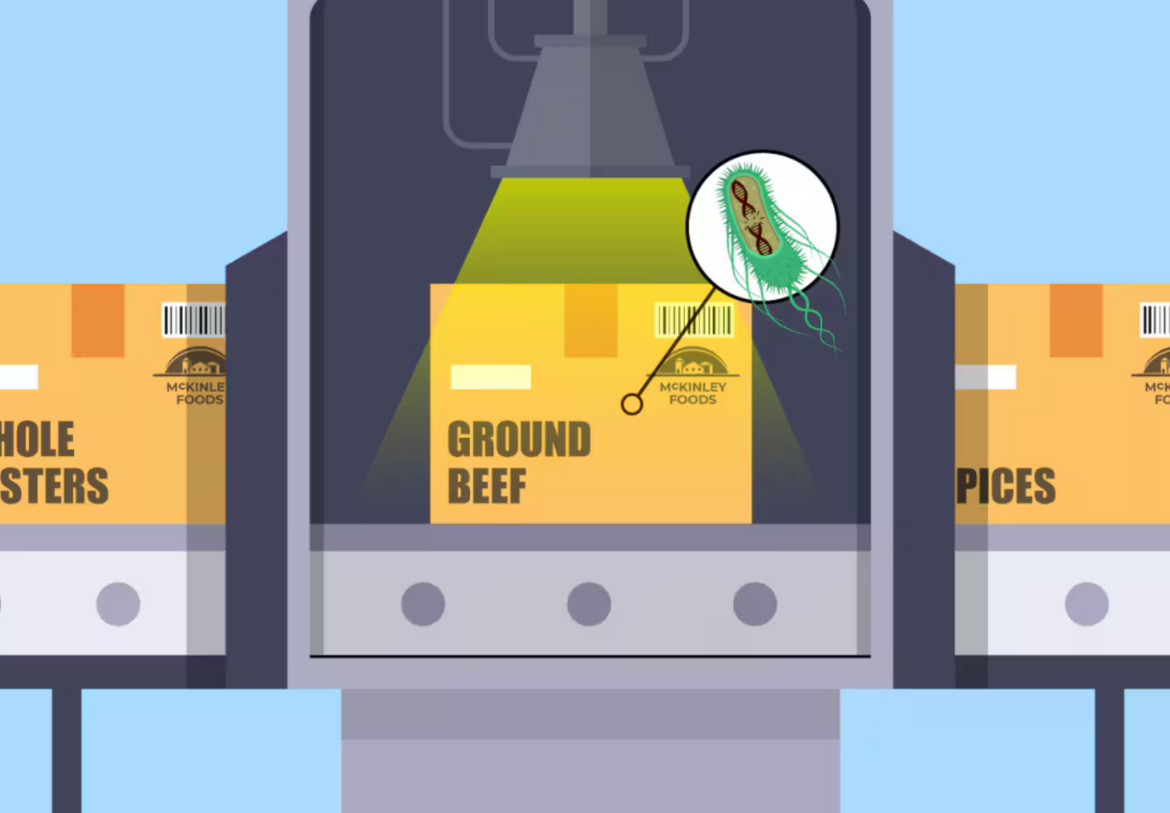 TOAN PHAT - Impact of ionizing radiation during irradiation of fruits ...