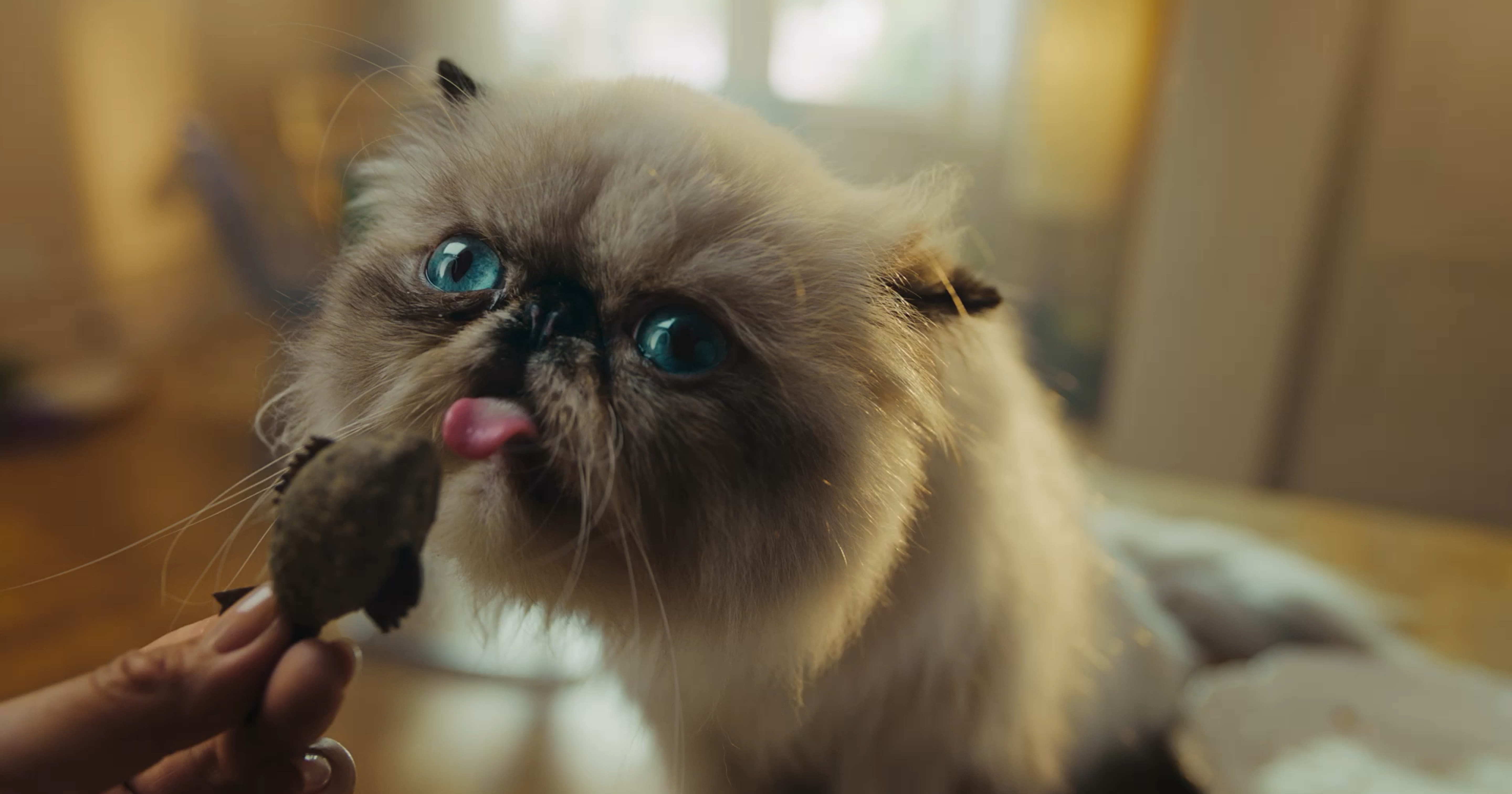 Why Onchain - Coinbase