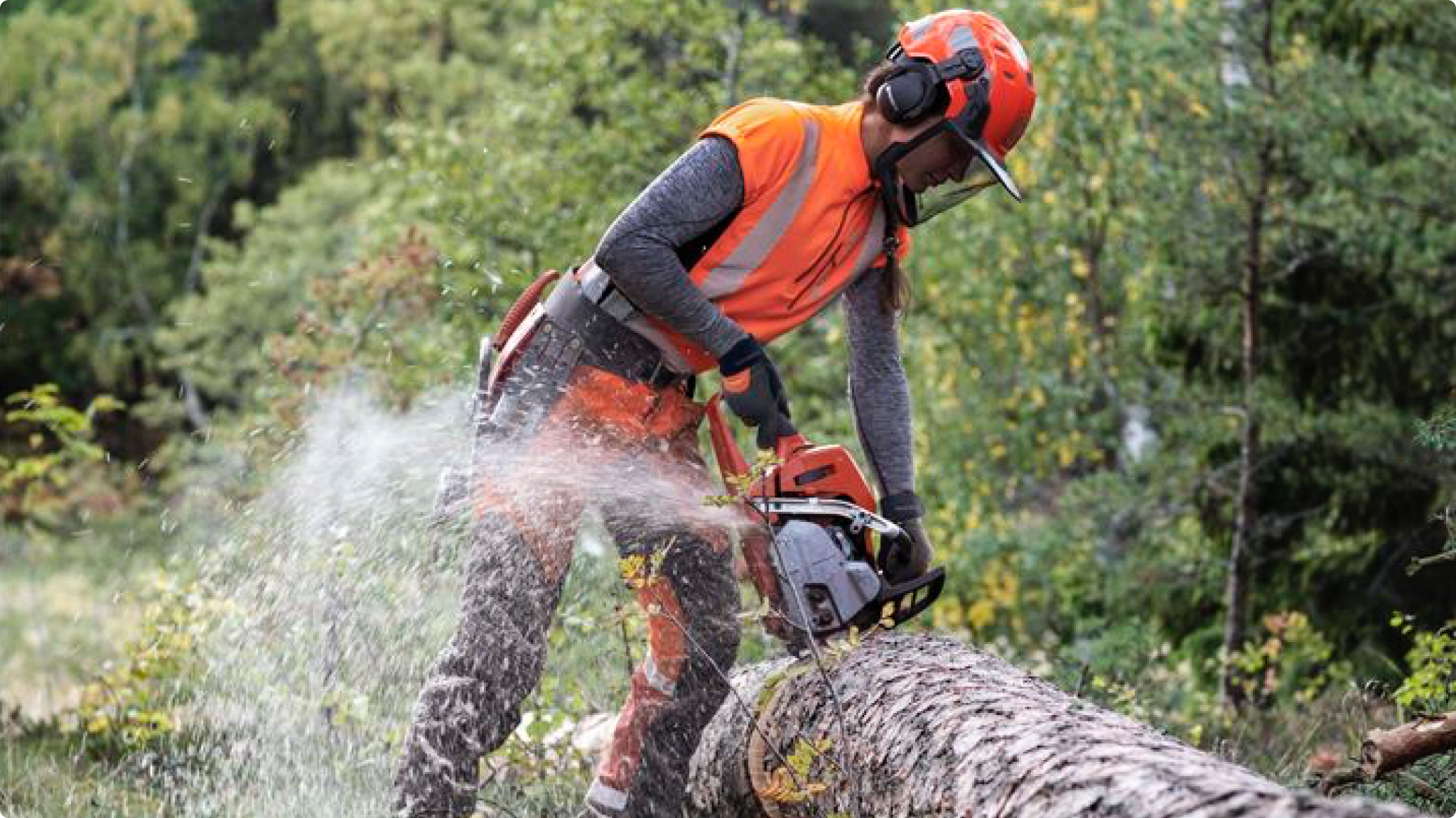 Success stories | Mavenoid