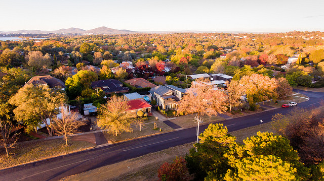 leafy-suburb-australia