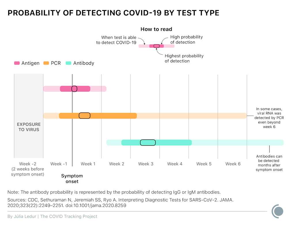 Analysis & updates | Test Types 101: The Pros and Cons of Different ...