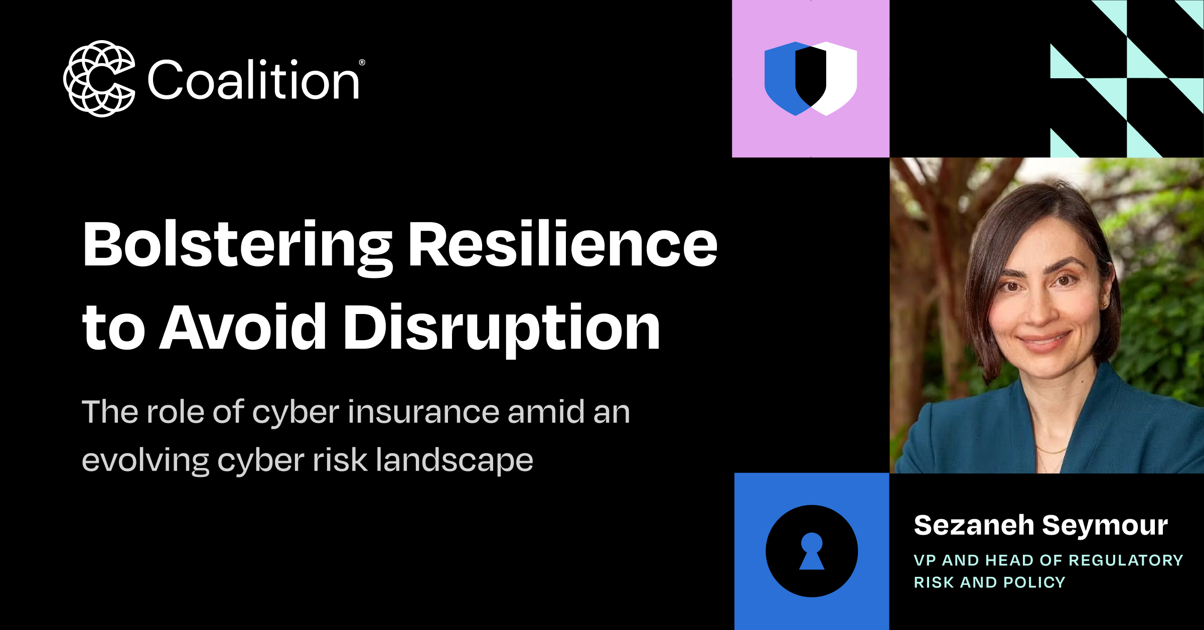 Bolstering Resilience to Avoid Disruption: The Evolving Role of Cyber ...