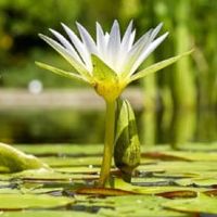 Sites incontournables de Macouria - Jumbo Car Guyane [2024]