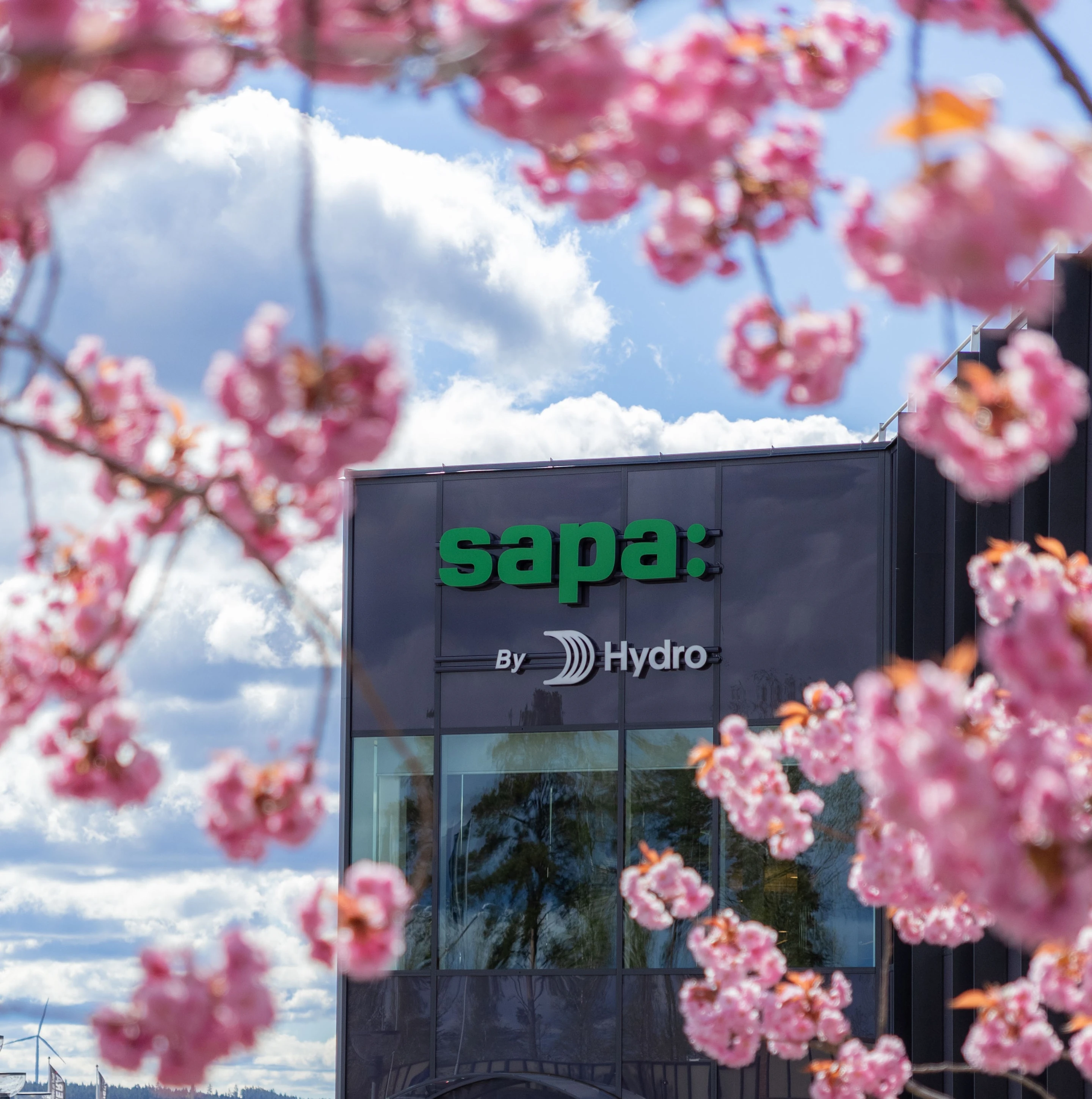 Windows, Doors, and Facades - SAPA