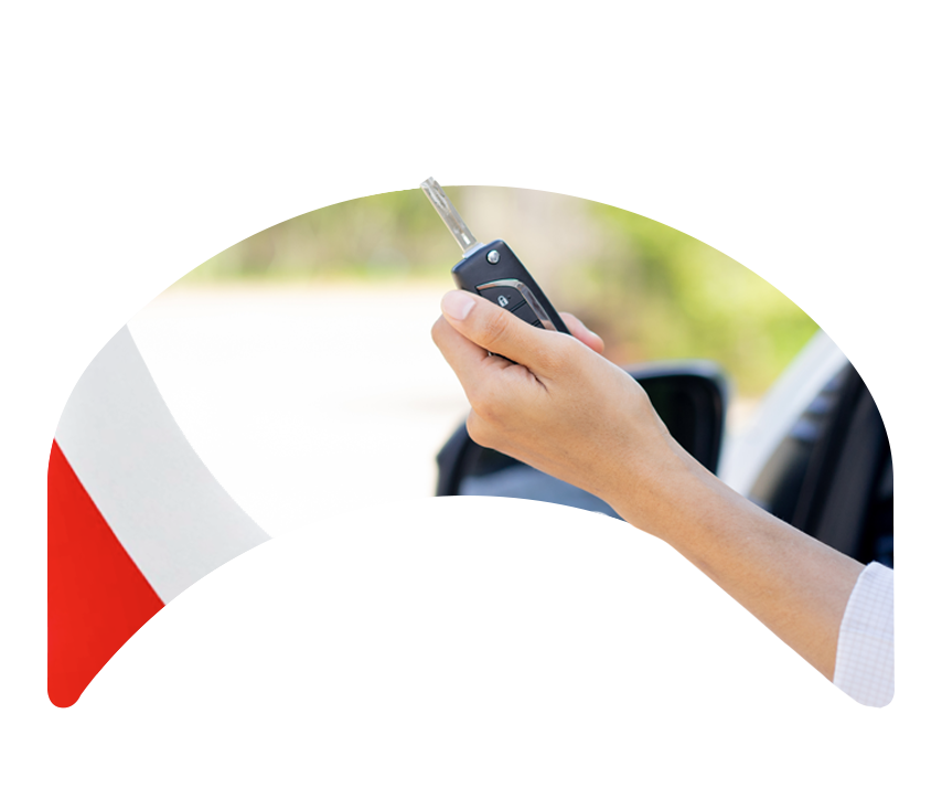 Guide to Obtaining Code 95 Certificate in Poland 2023. Świadectwo ...